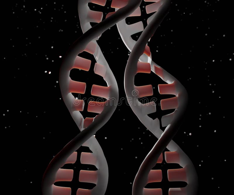 Transmutation of Two Dna Strands 3d Rendering Stock Illustration ...