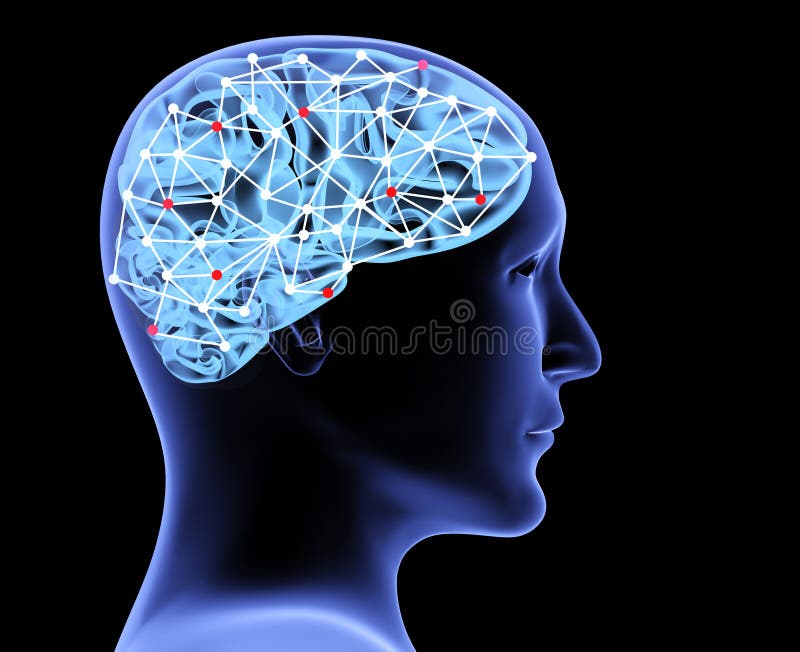 Transparant 3d Hoofd Van De Persoon En De Hersenen Stock Illustratie ...