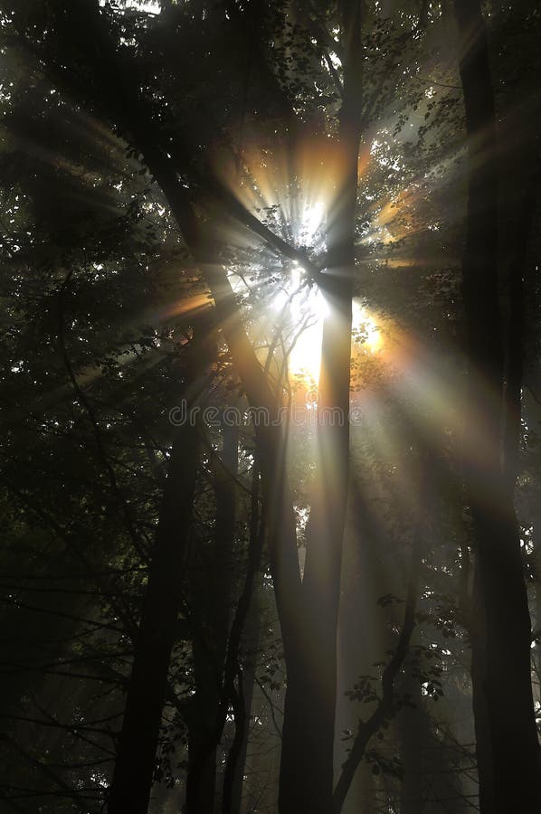 Transparency of the sun stock photo. Image of landscape - 48383354