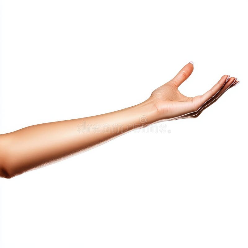 Transparent Background with Beauty Womans Arm Stock Image - Image of ...