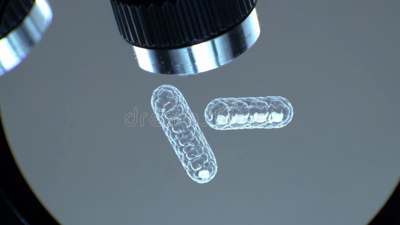 Microscopic View of Rotating Bacteria Cells on White Background Stock ...