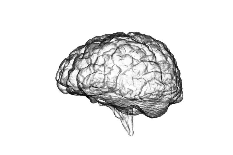Transparent Brain BW, 3D Render Stock Illustration - Illustration of ...