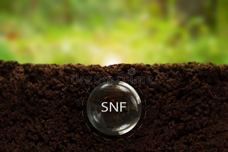 Transparent Capsule with SNF Formula Underground - the Concept of ...