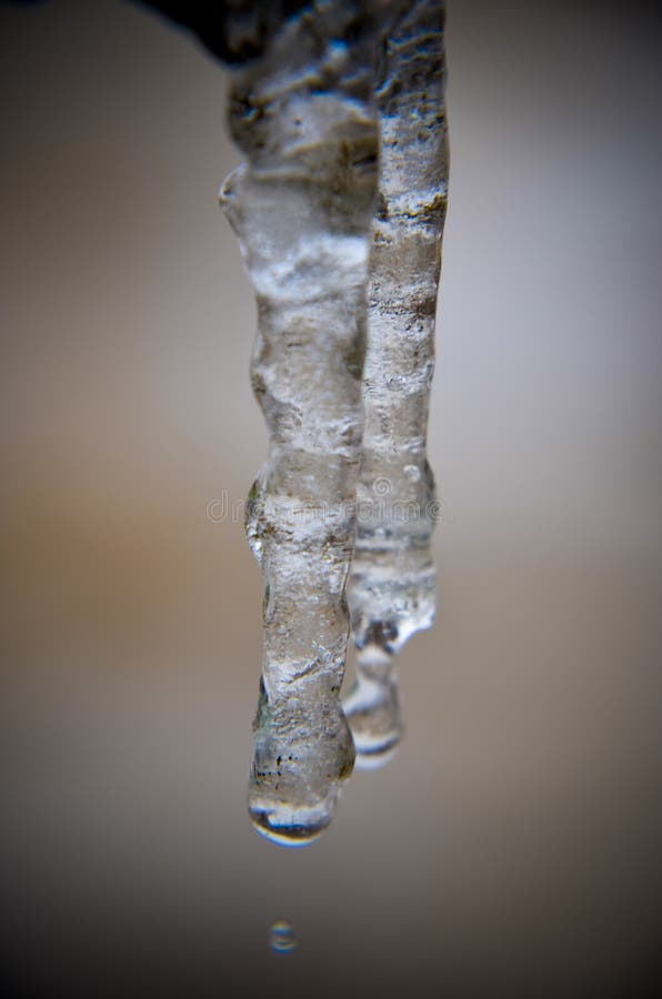 Transparent Clear Two Icicles Hang Stock Image - Image of december ...