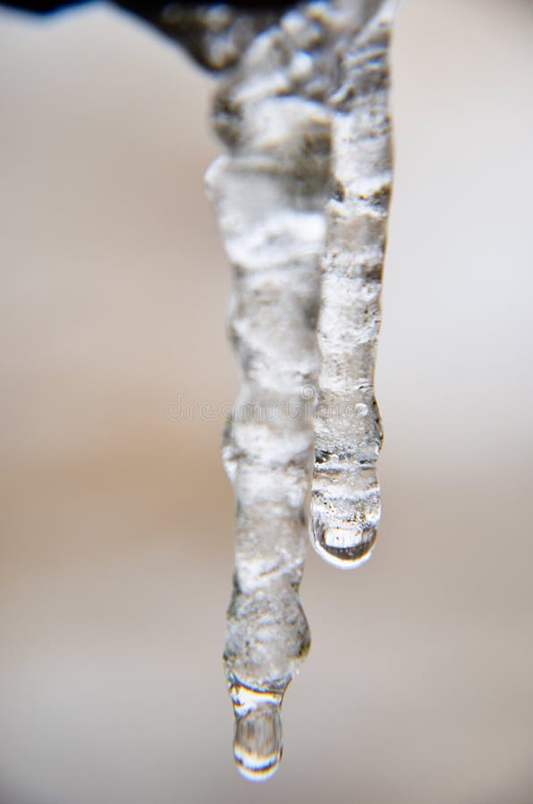 Transparent Clear Two Icicles Hang Stock Image - Image of december ...