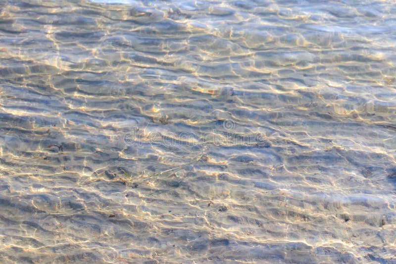 Transparent Clear Water and the Bottom of the River Stock Photo - Image ...