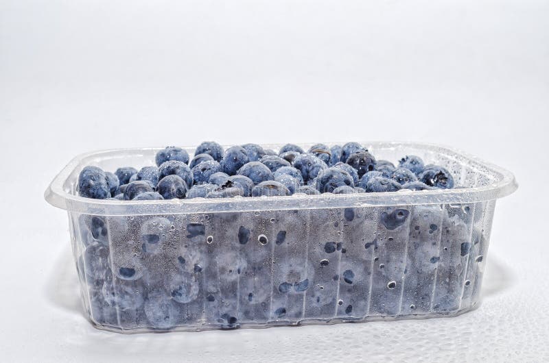 Transparent Container with Fresh Blueberries. Isolated on White. Side ...