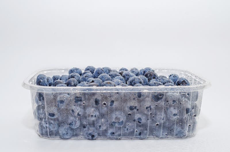 Transparent Container with Fresh Blueberries. Isolated on White. Side ...