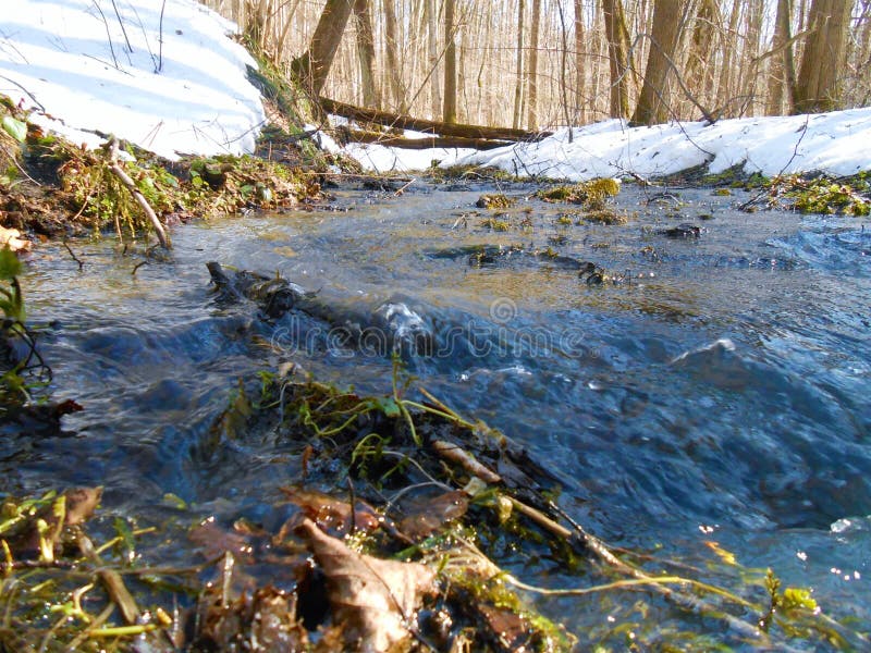 Transparent Creek Behind the Last Snow in Sunny Spring Day. Stock Image ...