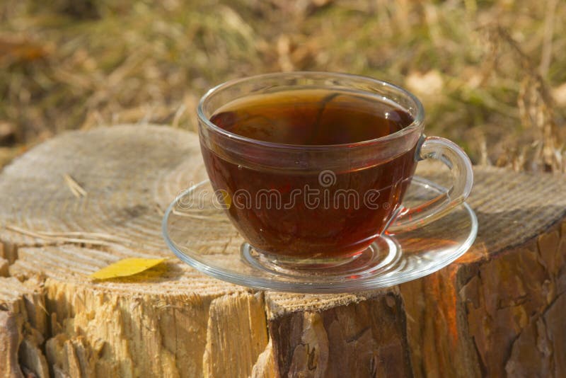 Transparent Cup of Tea Standing on the Stump Stock Image - Image of ...