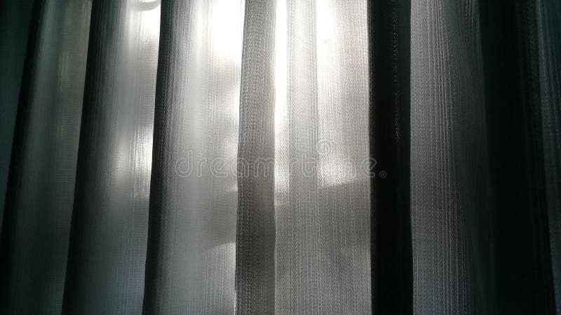 Movement of Tree Shadow Behind the Transparent Curtain in Bedroom ...