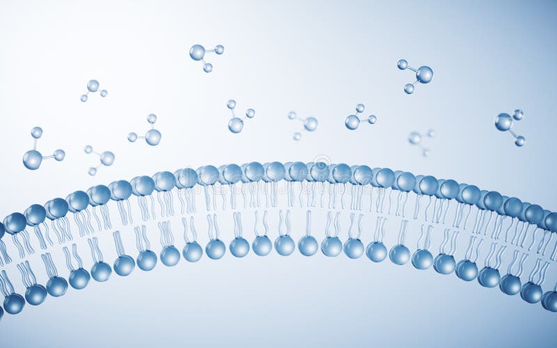 Water Permeate Stock Illustrations – 27 Water Permeate Stock ...