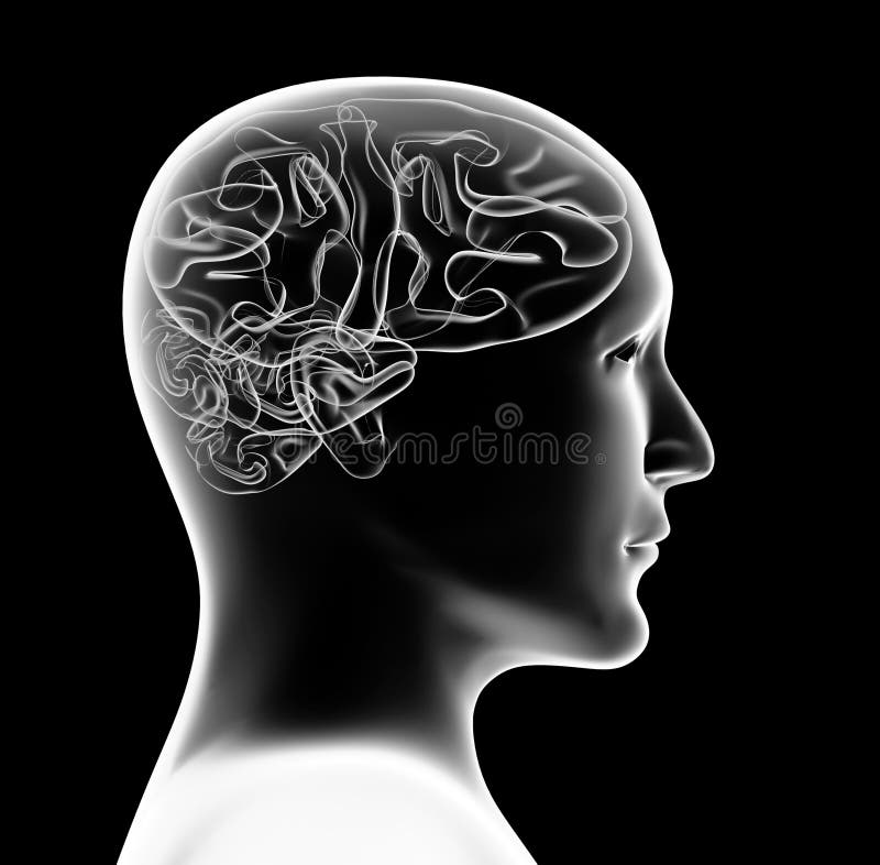 Transparent Head of the Person - X-ray Stock Illustration ...