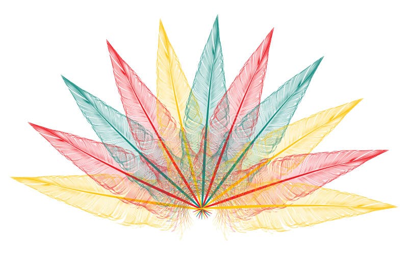 Transparent Feathers Fan - Vector Illustration Stock Vector ...