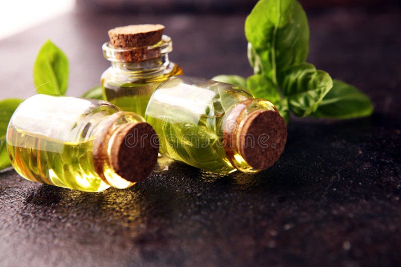 A Transparent Glass Bottle of Basil Essential Oil with Fresh Basil ...