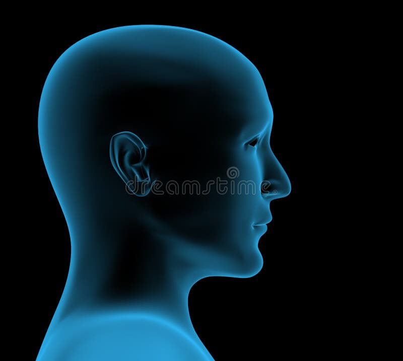 Transparent Head of the Person - X-ray Stock Illustration ...