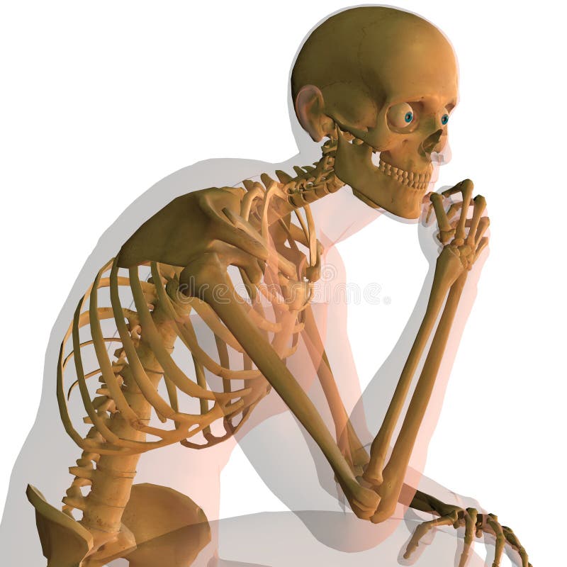 Thinking skeleton stock illustration. Illustration of human - 29033005