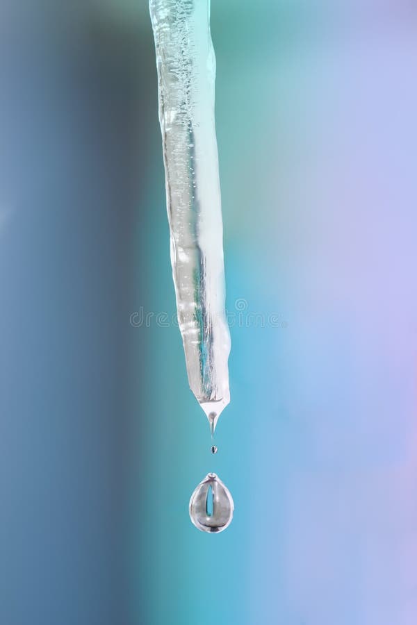 Transparent Icicles with Water Drops in Spring on Delicate Abstract ...