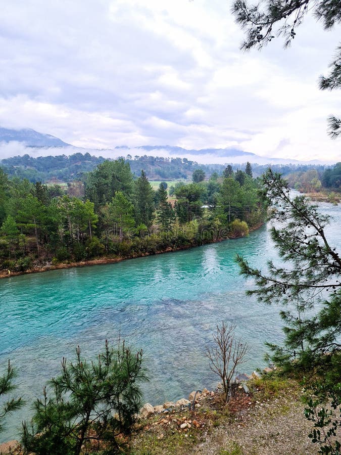 Transparent Mountain River in the Middle of the Forest. Turkish Nature ...