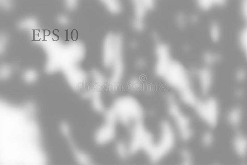 Transparent Natural Plant Shadow. Light Effect Overlay. Mesh Grid Stock ...