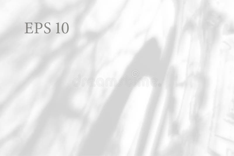 Transparent Natural Tree Shadow. Light Effect Overlay. Mesh Grid ...