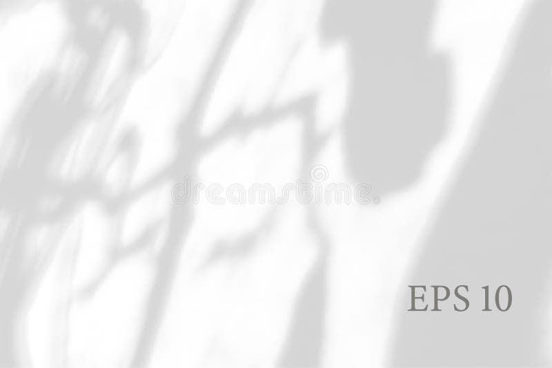 Transparent Natural Tree Shadow. Light Effect Overlay. Mesh Grid ...