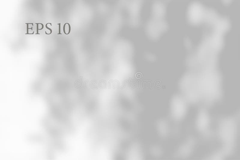 Transparent Natural Tree Shadow. Light Effect Overlay. Mesh Grid ...