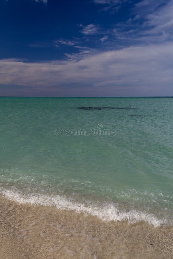 Transparent ocean shore stock photo. Image of vacation - 38586372
