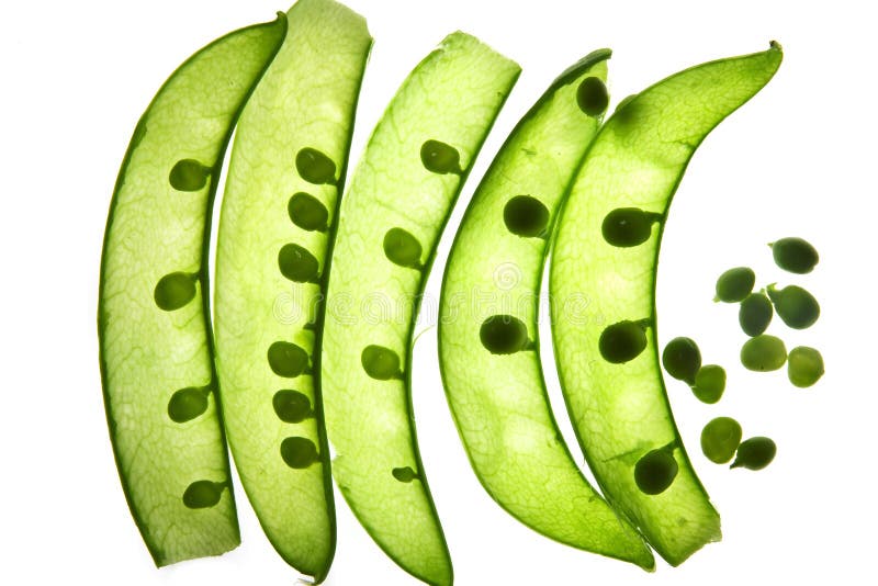 Transparent pea slices stock image. Image of seed, pattern - 28142431