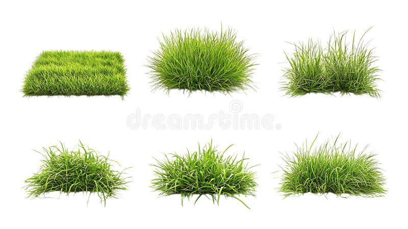 Transparent or PNG Image of Artificial Grass Patch Stock Illustration ...