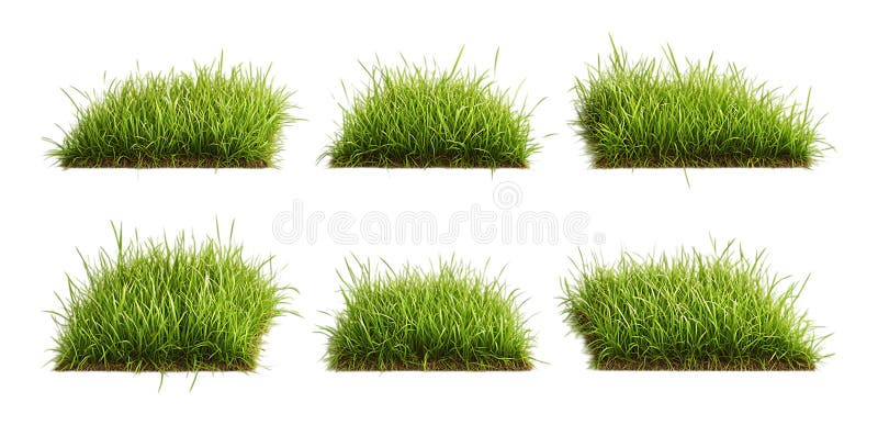 Transparent or PNG Image of Artificial Grass Patch Stock Illustration ...