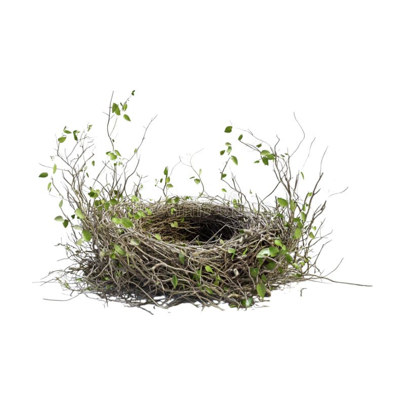 Transparent or PNG Image of Bird S Nest with Eggs Stock Illustration ...