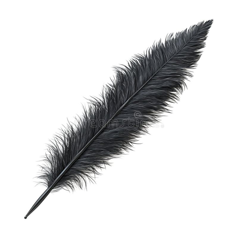 Transparent or PNG Image of a Black Quill Pen Stock Illustration ...