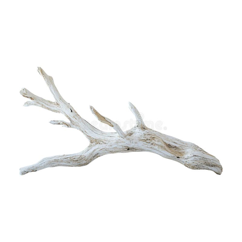 Transparent or PNG Image of Bunch of Tree Stock Illustration ...