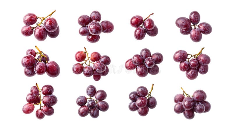 Transparent or PNG Image of Bunches of Dark Purple Kyoho Grapes Stock ...