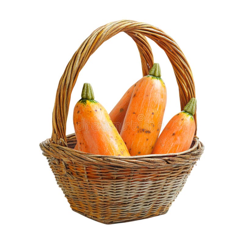 Transparent or PNG Image of Butternut Basket Stock Illustration ...