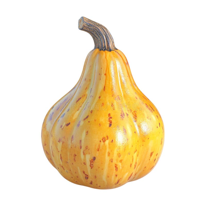 Transparent or PNG Image of Golden Gourd Stock Illustration ...