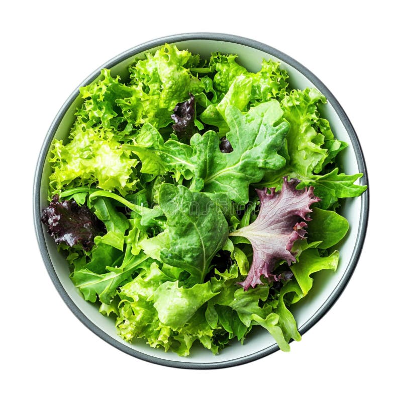 Transparent or PNG Image of Green Salad Stock Illustration ...
