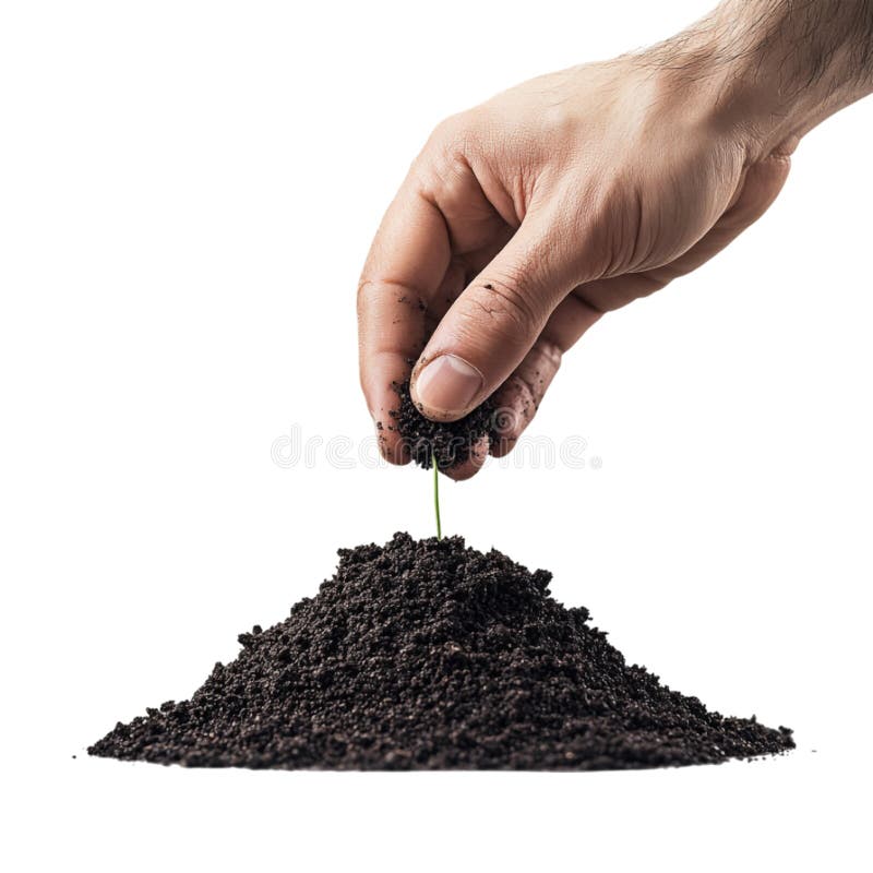 Transparent or PNG Image of Hand Planting a Seedling Stock Illustration ...