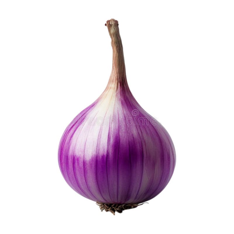 Transparent or PNG Image of Purple Onion Stock Illustration ...