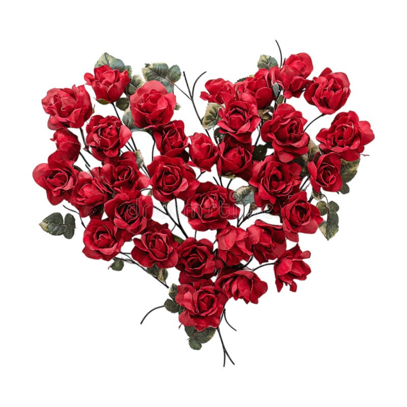 Transparent or PNG Image of Red Roses in Heart Shape Stock Illustration ...