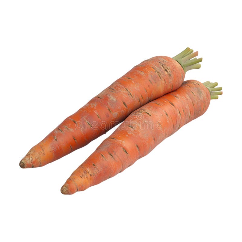 Transparent or PNG Image of Single Carrot Stock Illustration ...