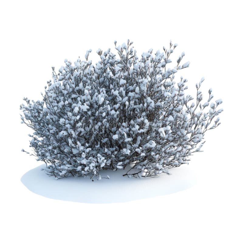 Transparent or PNG Image of Snow-covered Bush Stock Illustration ...