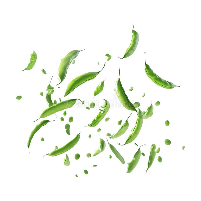Transparent or PNG Image of Sugar Snap Peas Stock Illustration ...