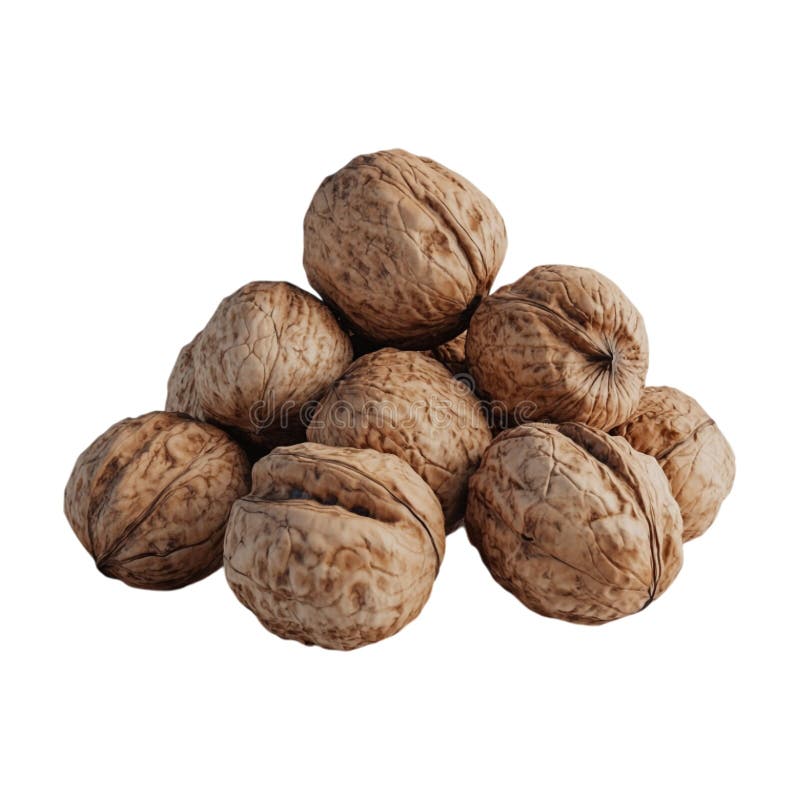 Transparent or PNG Image of Walnuts Stock Illustration - Illustration ...