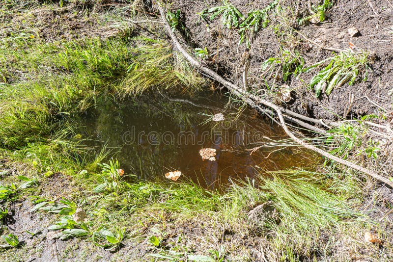 Transparent Puddle Formed from the River in the Mountains Stock Photo ...