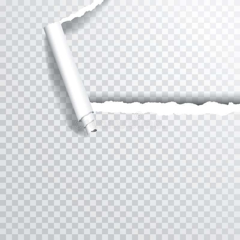 Transparent ripped corner stock vector. Illustration of ripped - 88411955
