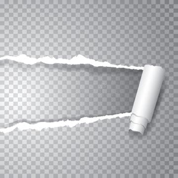 Transparent Ripped Paper Roll Stock Vector - Illustration of element ...