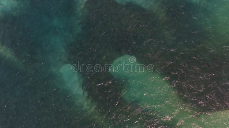 Transparent Sea Water from Above Stock Image - Image of ocean, relax ...