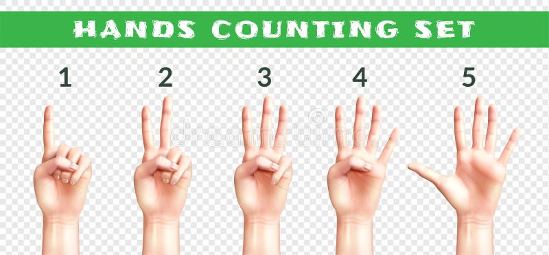 Transparent Set of Counting Hands Stock Vector - Illustration of ...